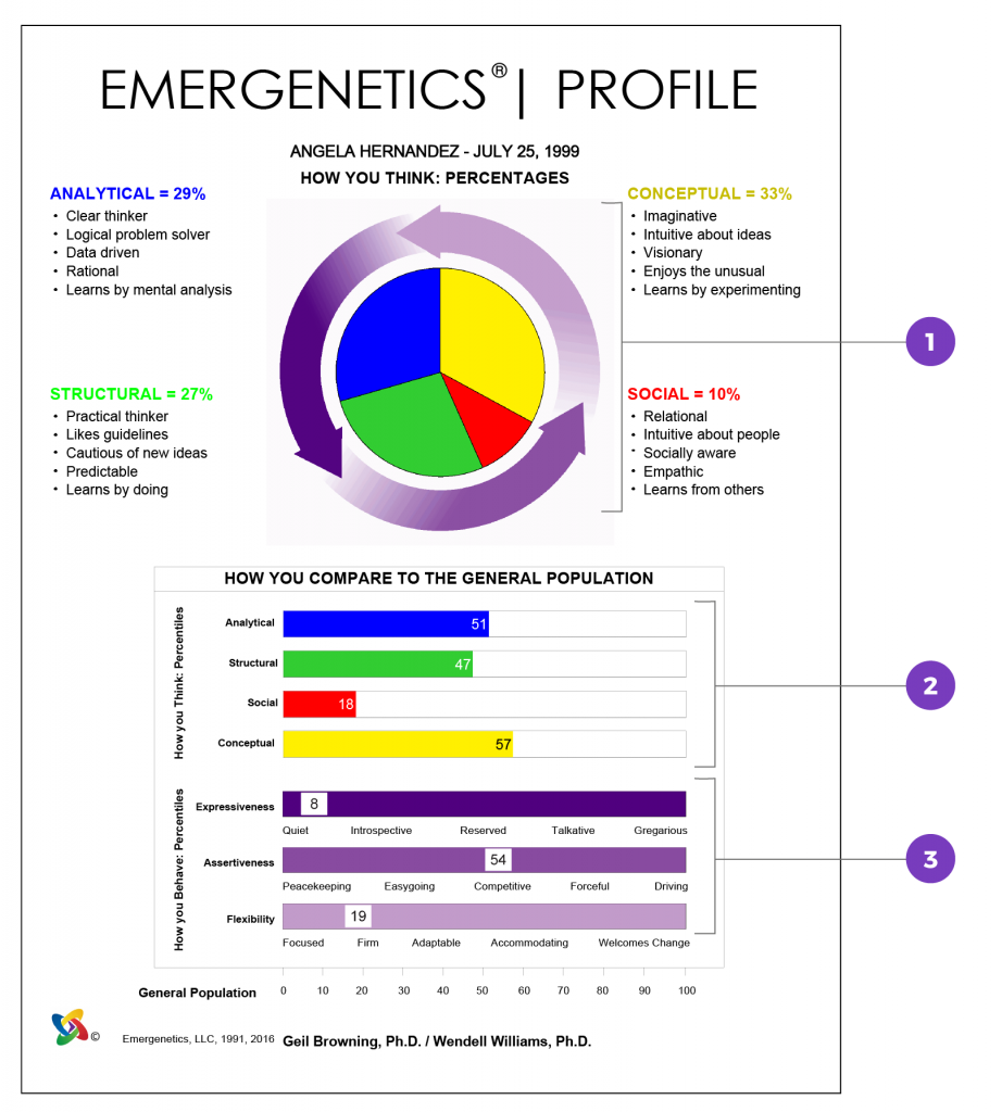 10 Questions People Usually Ask About The Emergenetics Profile - Emergenetics